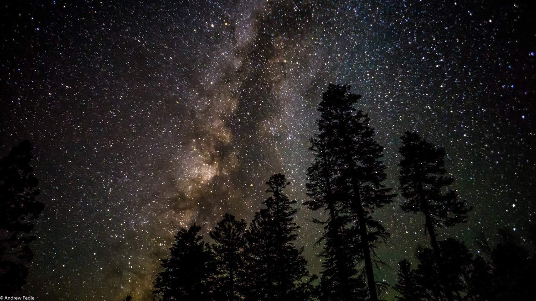 Hannagan Campground | AZ | Camping Information & Reviews