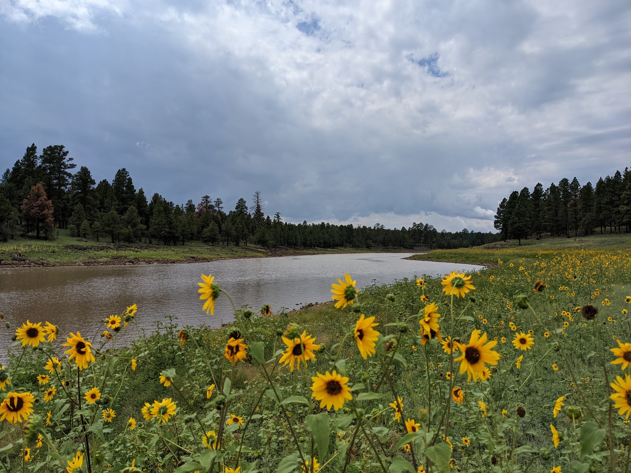 Lakeview Campground | AZ | Camping Information & Reviews