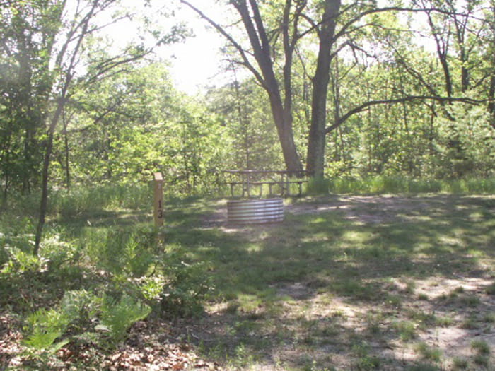 Avery Lake State Forest Campground Guide | Best Sites & T...