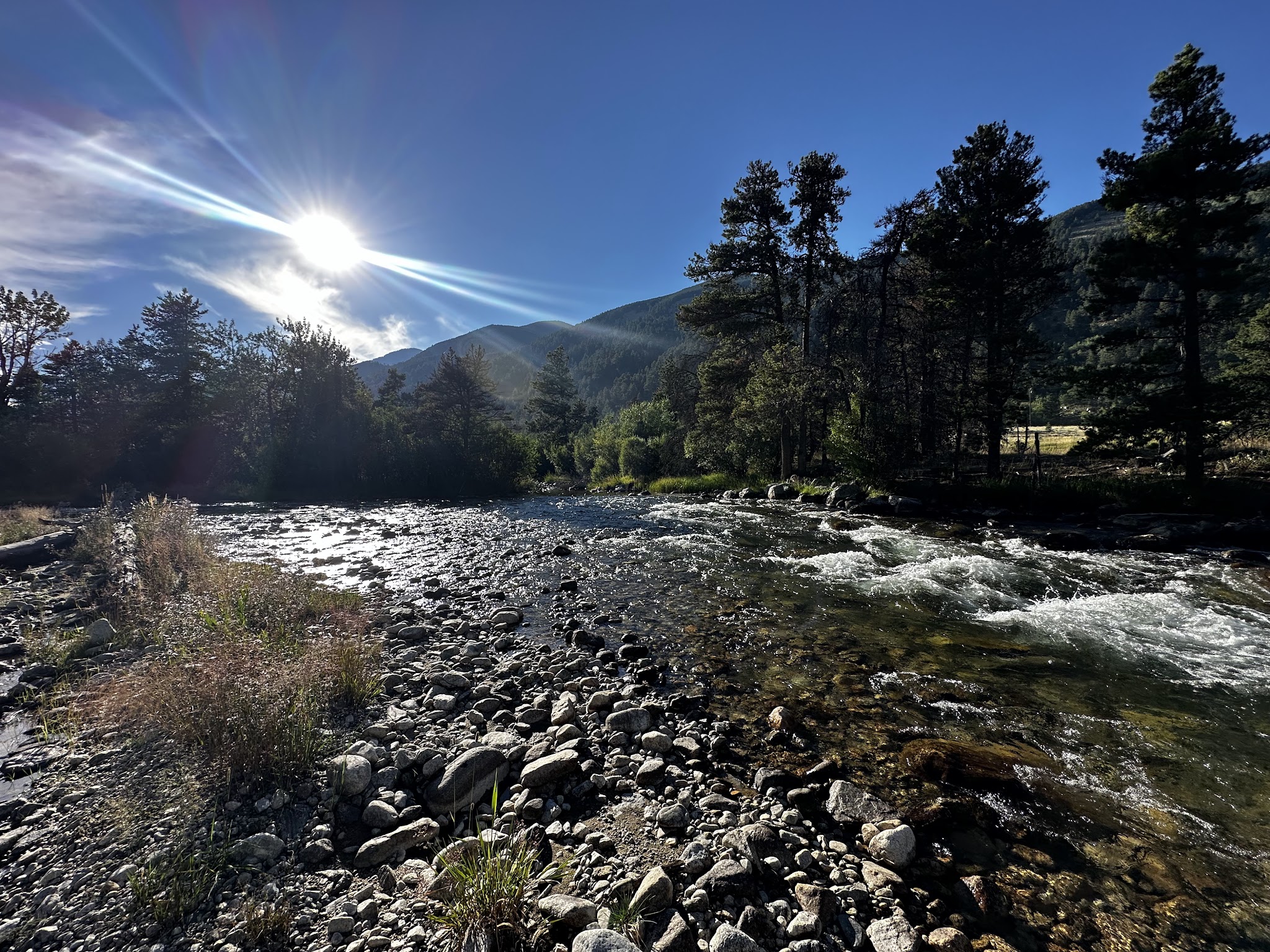 Pine Grove Campground | MT | Camping Information & Reviews