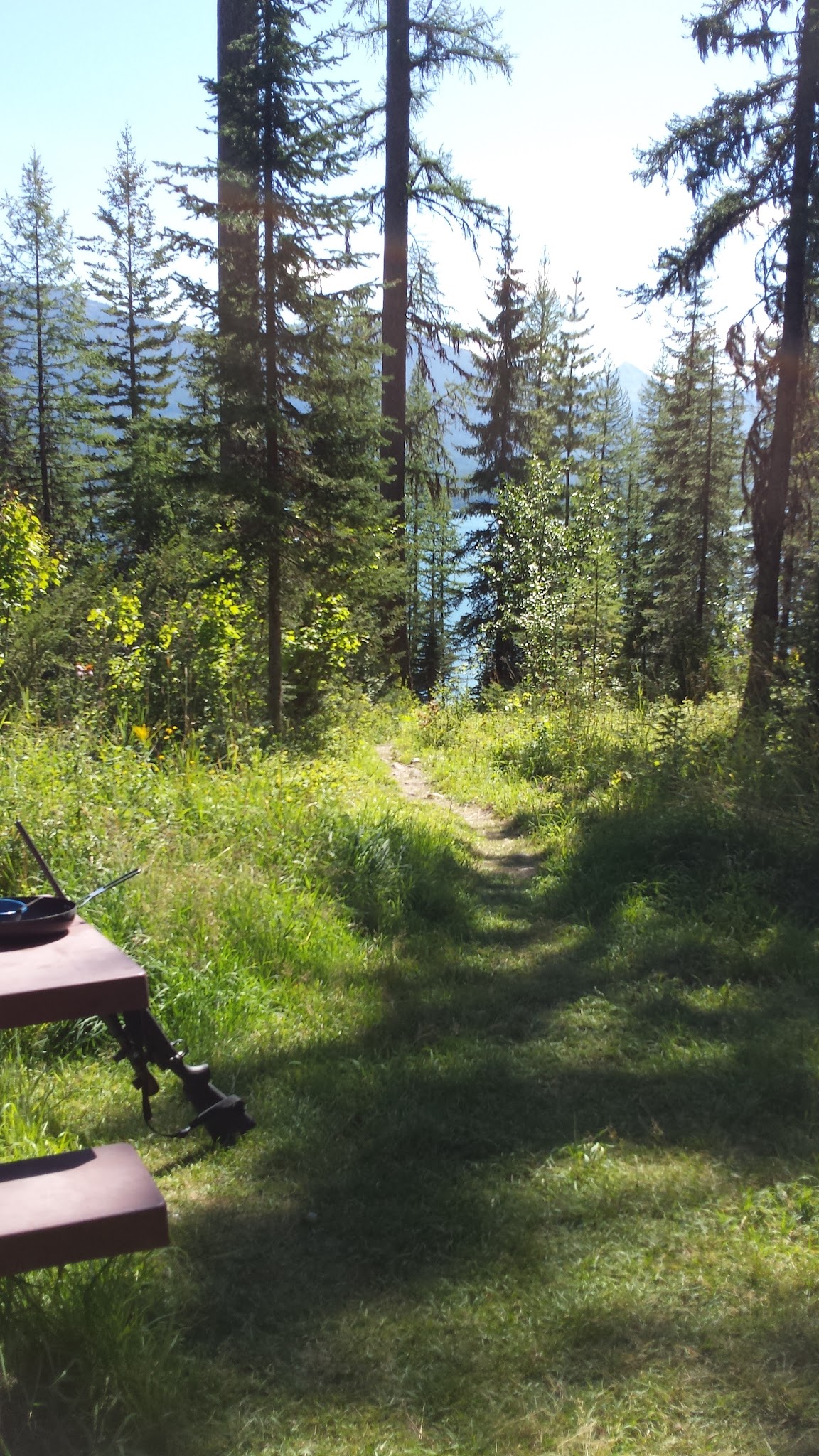 Lakeview Campground | MT | Camping Information & Reviews