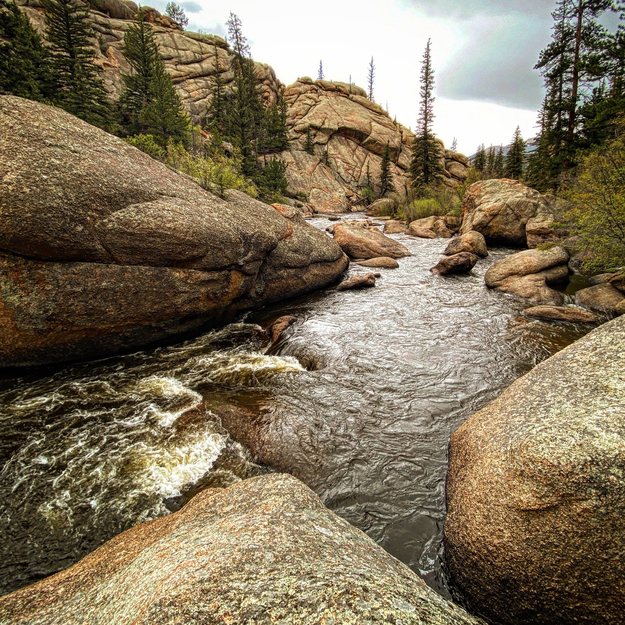 Spruce Grove Campground | CO | Camping Information & Reviews