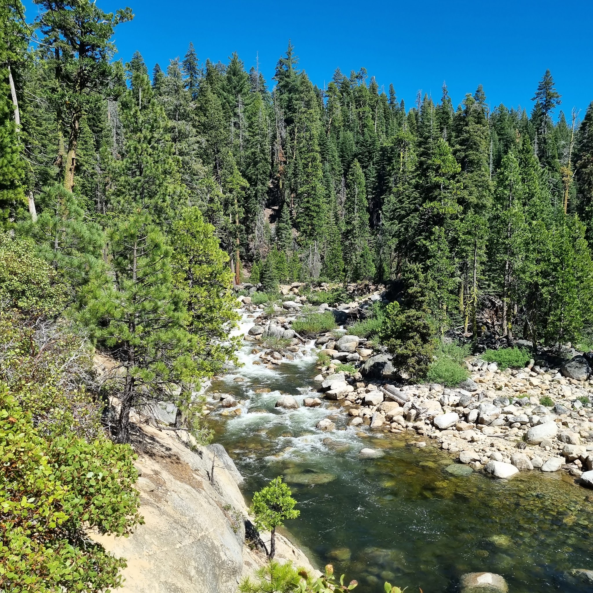 Strawberry Point Campground | CA | Camping Information & Reviews