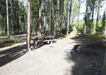shields river campground