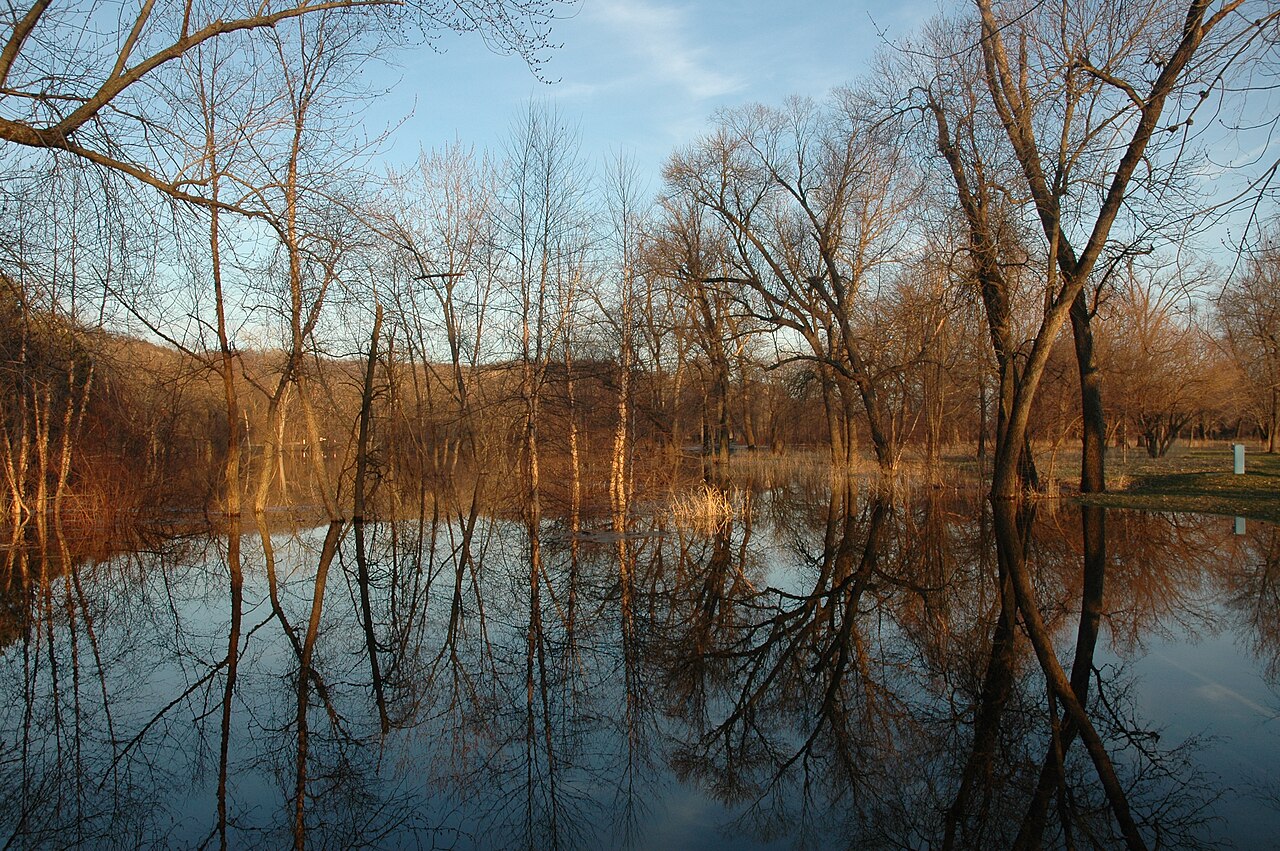 Merrick State Park Camping | Mississippi River backwaters...