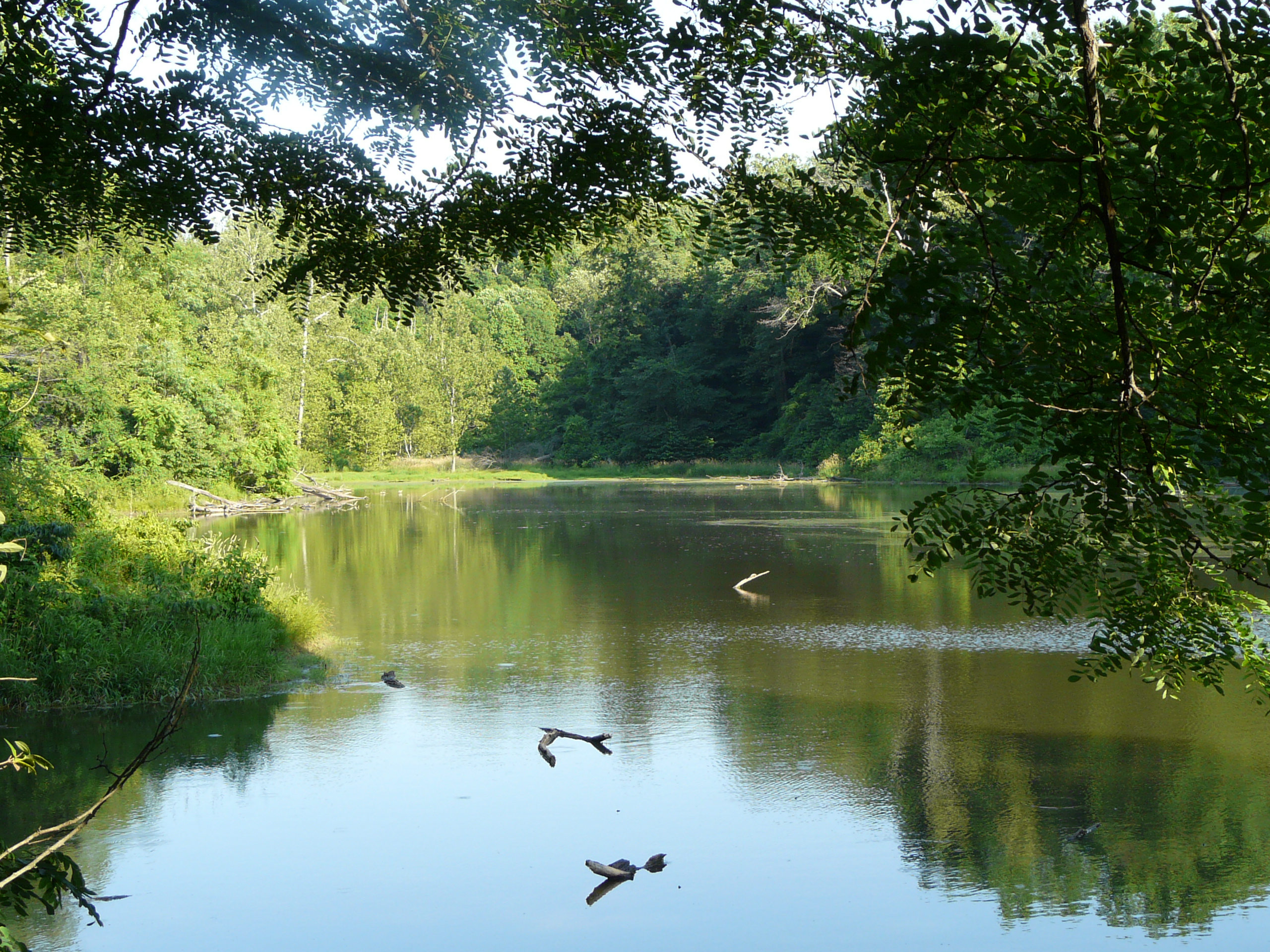 10 Best Campgrounds in Kentucky — Lakes & Mammoth Cave