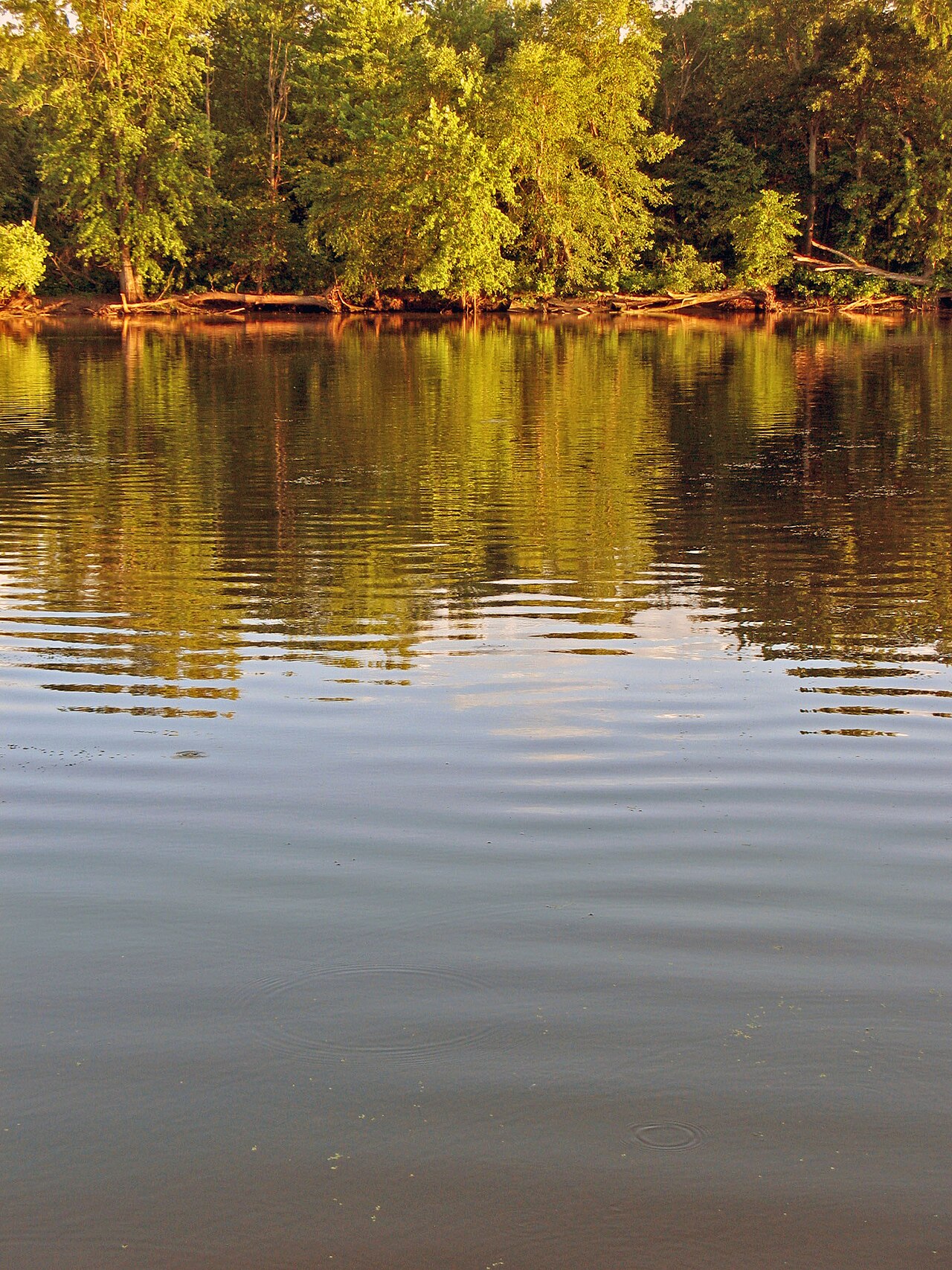 Merrick State Park Camping | Mississippi River backwaters...